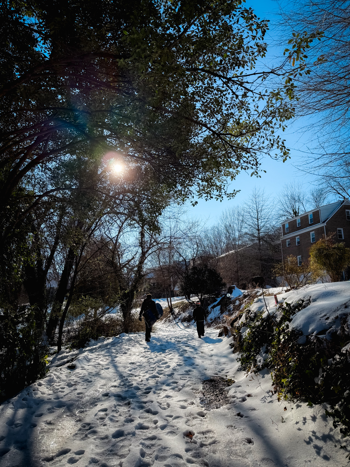 Why Winter Walks Are My Favorite • Kath Eats