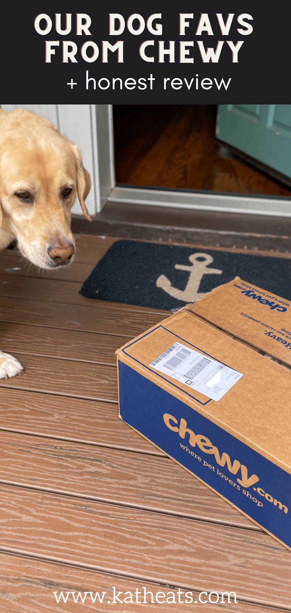 Chewy Review: Gus's Favorite Things! • Kath Eats