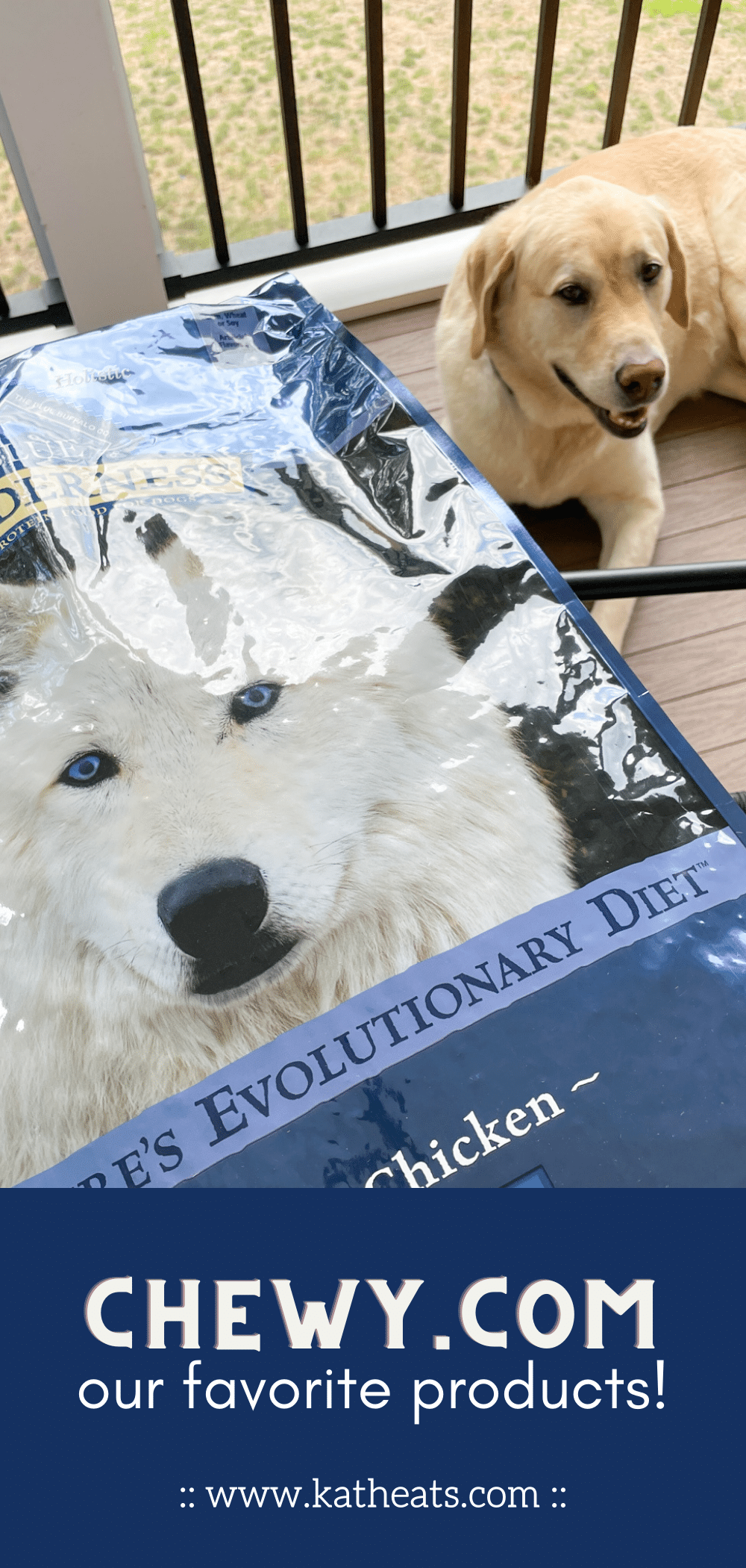 Chewy Review: Gus's Favorite Things! • Kath Eats
