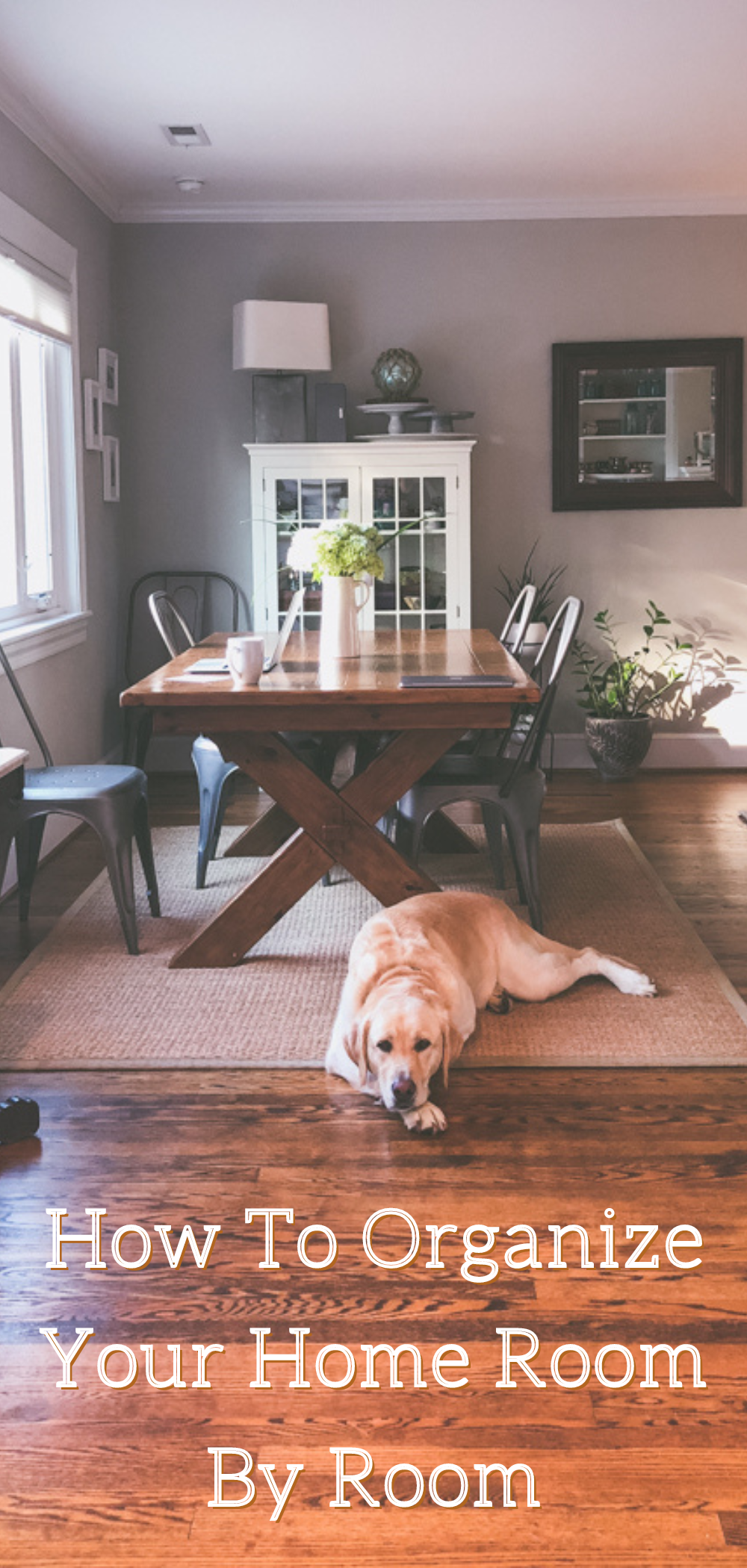 How To Organize Your Home Room By Room (aka How To Move) • Kath Eats