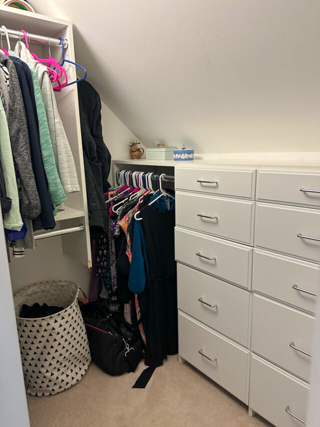 EasyClosets Review (Tour My Closet!) • Kath Eats