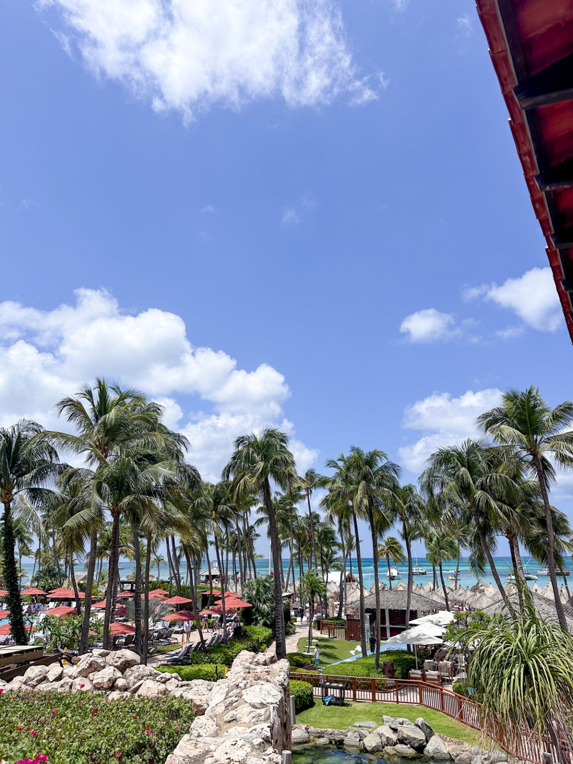 Hyatt Regency Aruba: Family Trip To Aruba - Final Days • Kath Eats